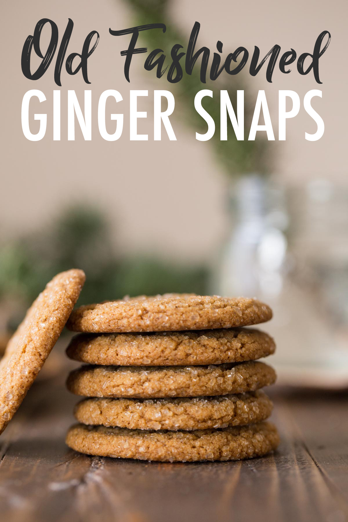 Old Fashioned Ginger Snaps - Lovely Little Kitchen