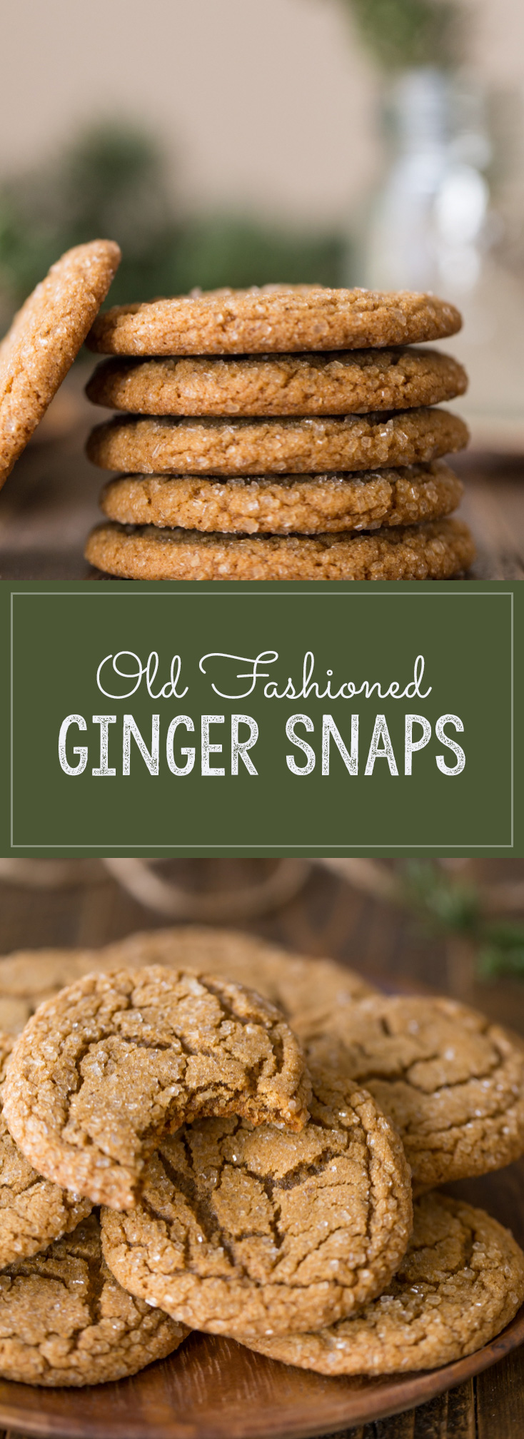Old Fashioned Ginger Snaps - Lovely Little Kitchen